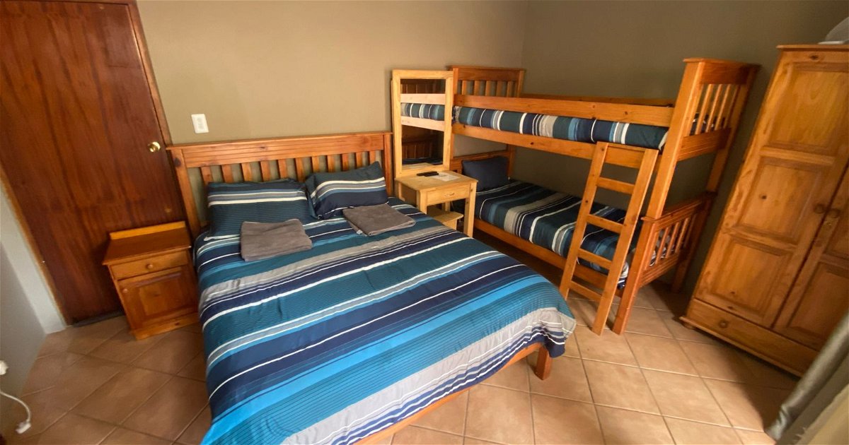 Bushwillow (Pax 4) - Mount Nebo Hillside Reserve