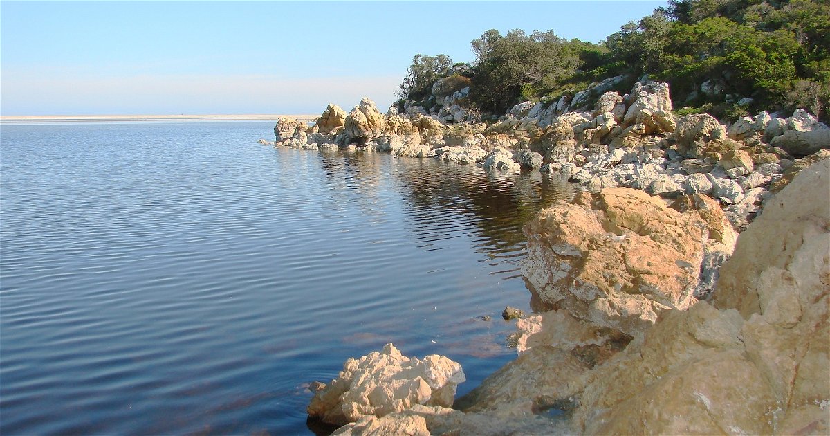 All you need to know about Hermanus - Icon Villas