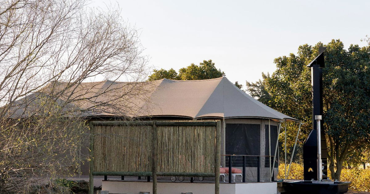 Springbok Glamping Tent - Franschhoek | Lifetree Escapes