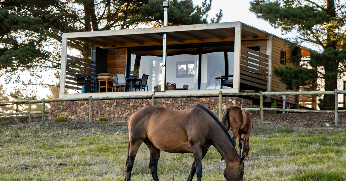 Casey Tibbs Bungalow - Hermanus | Lifetree Escapes