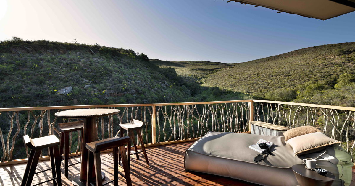 5 Best Luxury Treehouse Stays in South Africa | Lifetree Escapes