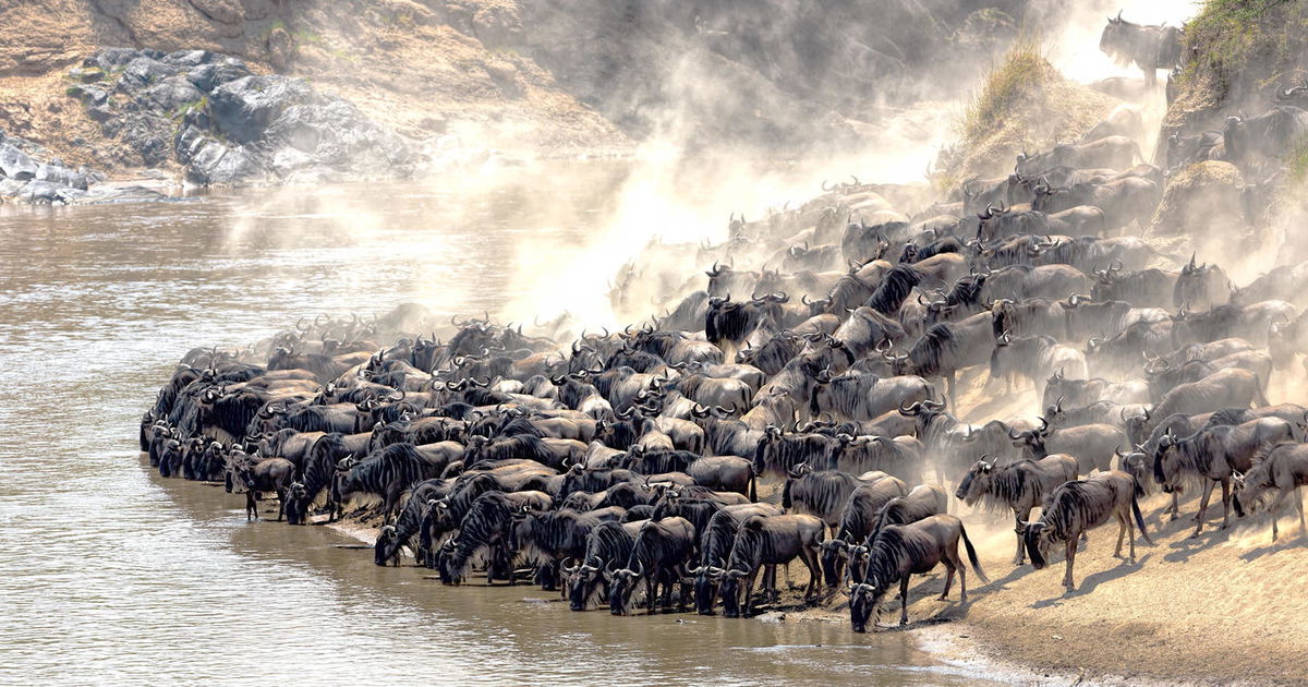 Great Migration Safari, Victoria Falls and Kruger Safari - Experiential ...