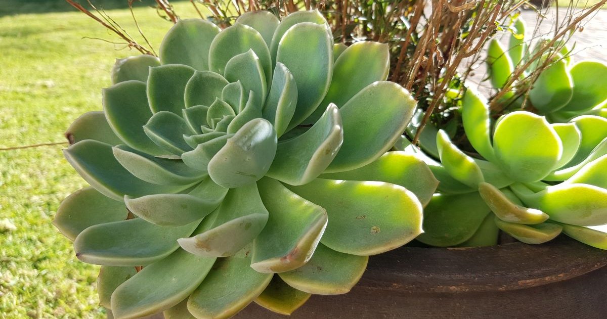 Contact Us - Aloes Guest House