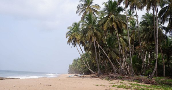Discover Beaches in Liberia - Liberia Tourism