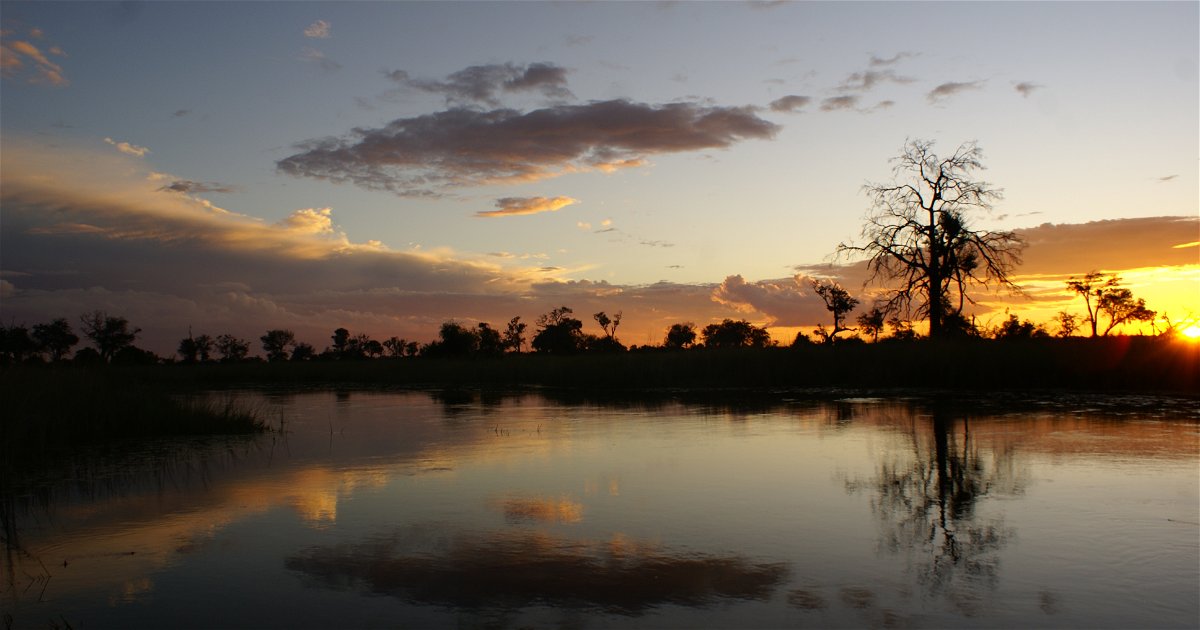 Safari from the water - Hylton Langley Safaris
