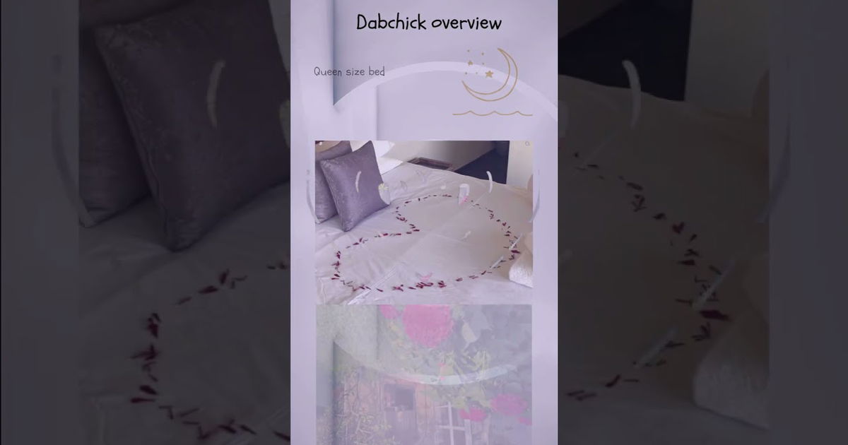 Dabchick overview - Hills and Dales Accommodation