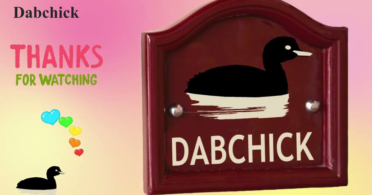 Escape to the Dabchick - Hills and Dales Accommodation