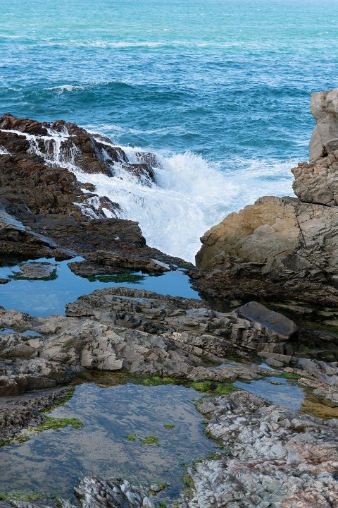Guest House Accommodation in Betty's Bay - On the Rocks