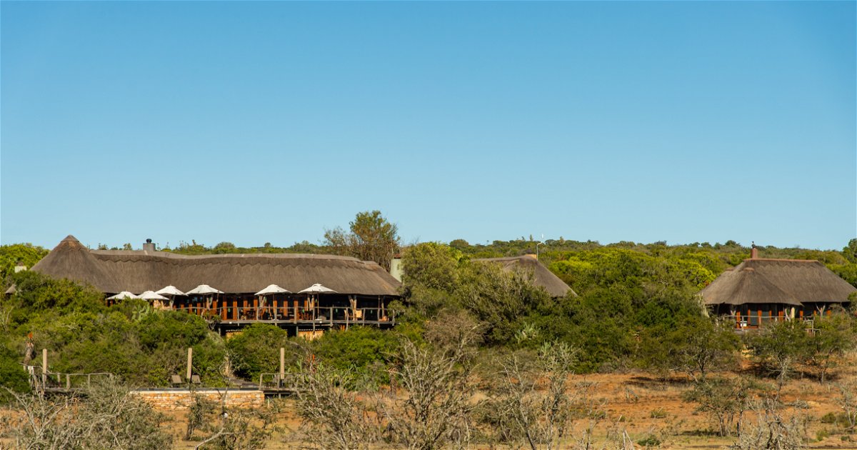 Bush Lodge - Pumba Private Game Reserve