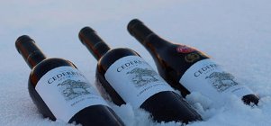 Ginger The Restaurant - Port Elizabeth - Gqeberha