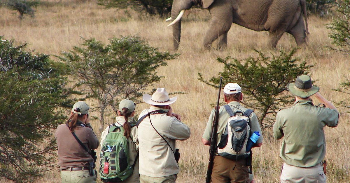 To travel with or without a guide? - Out & About Africa