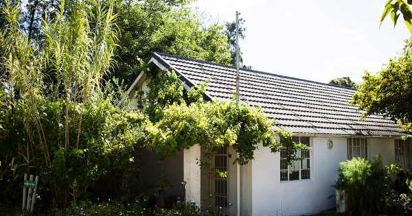 Strathbreede Cottage - Strathbreede House