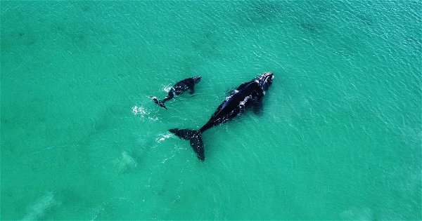 Experiences - Pure Sea Boutique Lodge