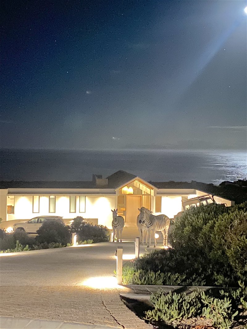 Gallery - Pure Sea Boutique Lodge
