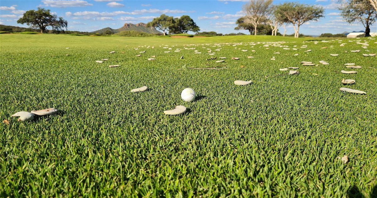 Welcome to Africa, the land of sun, sand, and spectacular golfing ...