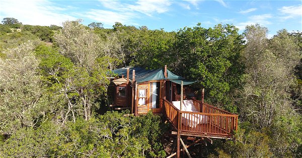 Teniqua Treetops: Couples Treetop Suite