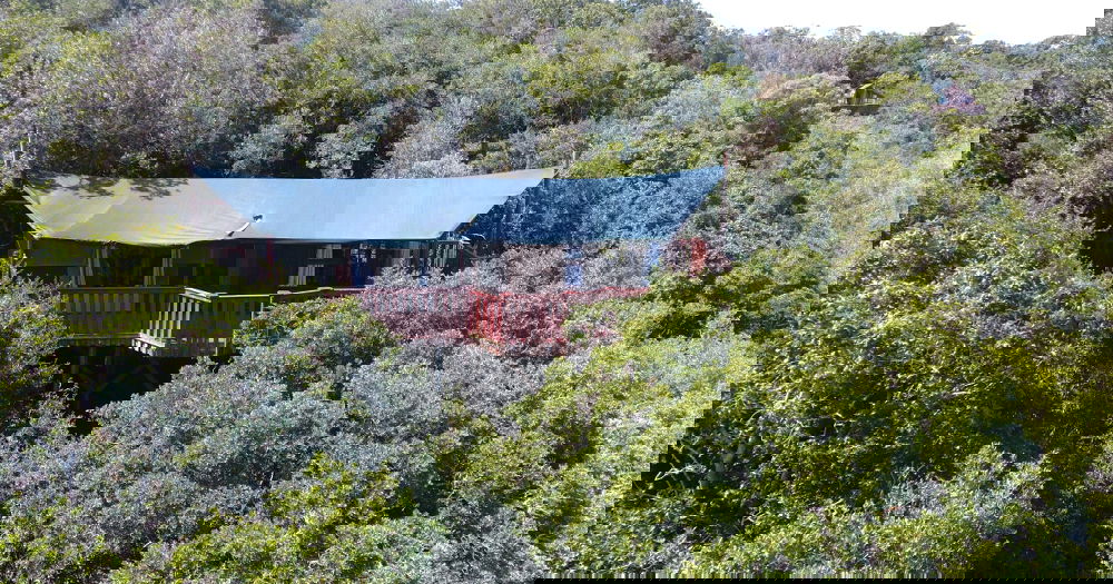 Teniqua Treetops: Deluxe Couples Treetop Suite