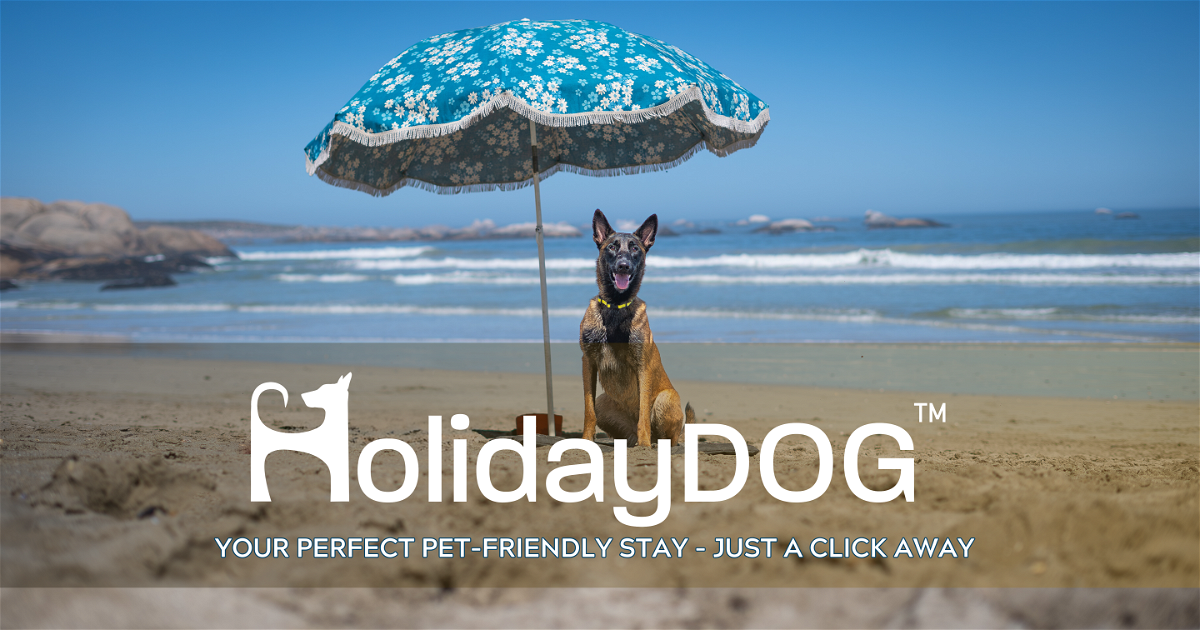 Find and Book Pet-Friendly Accommodation - HolidayDOG