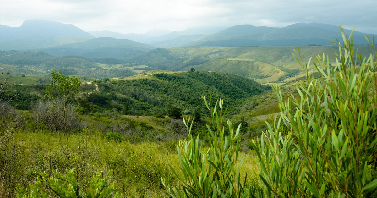 Leeukloof & Ruiterbos - Blommekloof Country Cottages