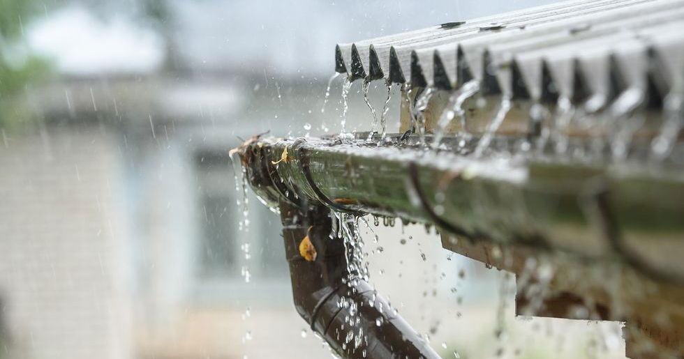How Rainwater Harvesting Helps the Environment
