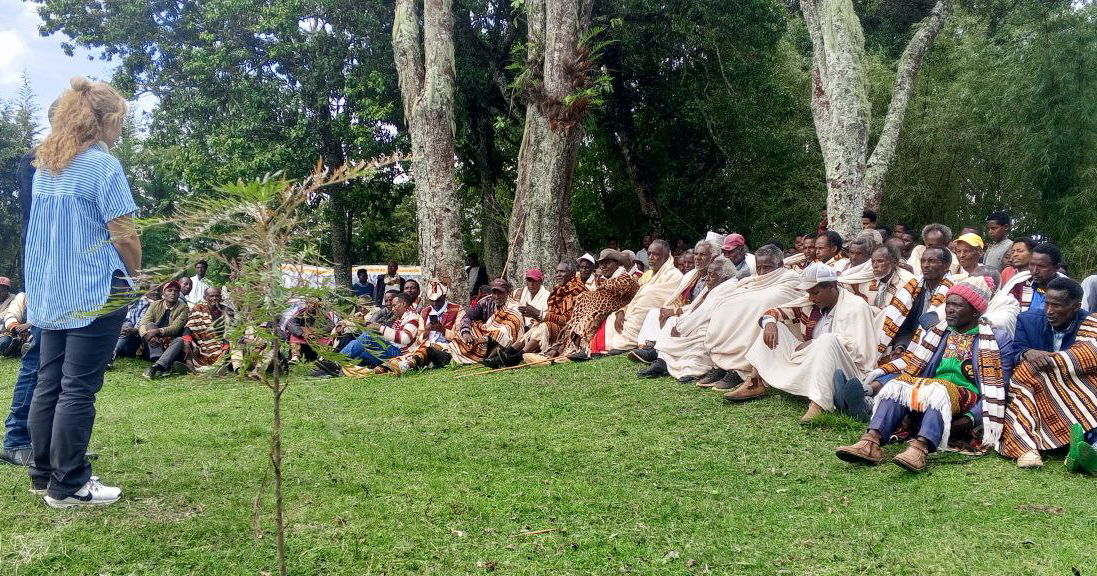 Authentic Sidama: Coffee, Culture and the Songo Experience - Source ...