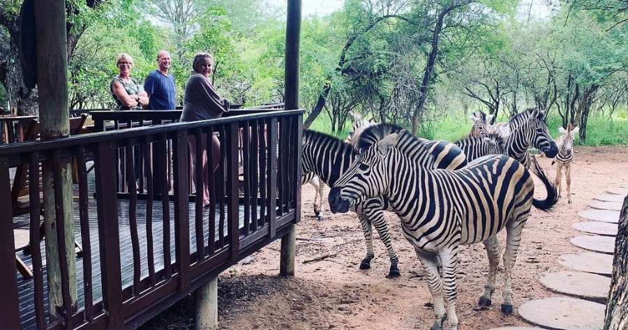 Why Marloth Park is the Ideal Safari Destination for Families, Couples ...