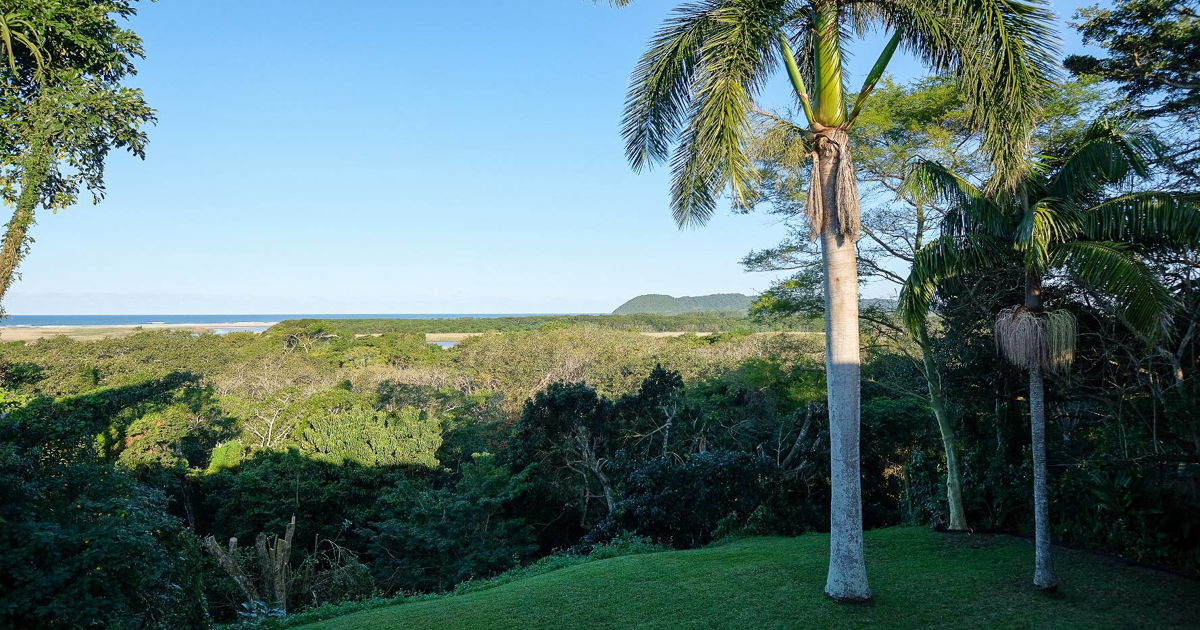 Ingwenya Lodge - A European Family’s Dream Getaway - Ingweny Lodge