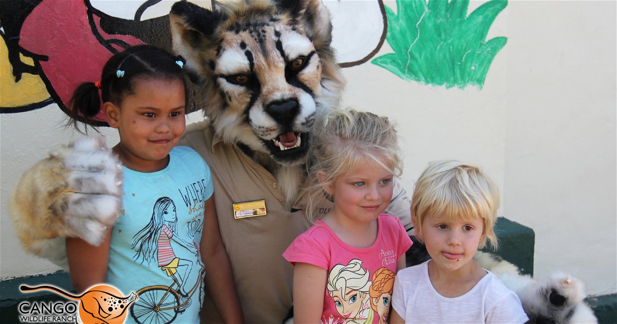 Cango Wildlife Ranch celebrates International Cheetah Day - Cango ...