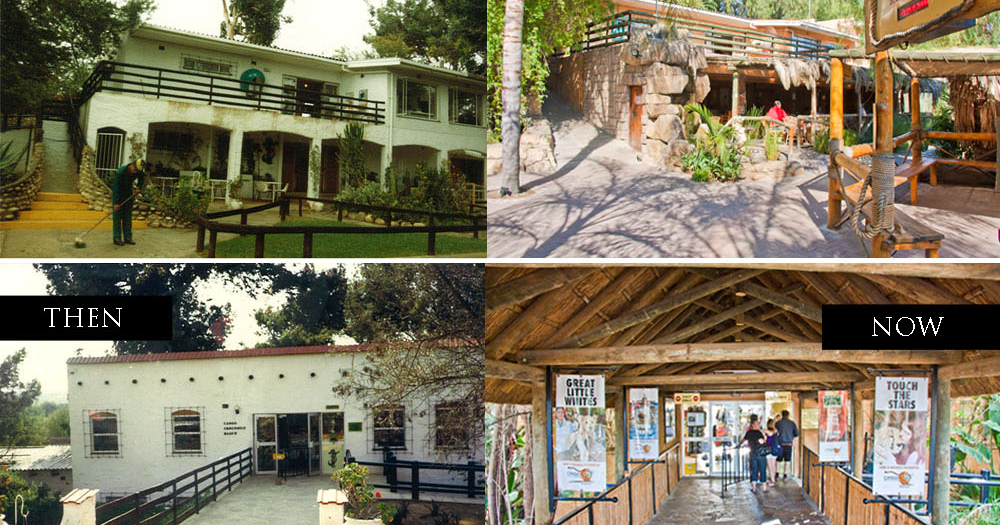 Our History - Cango Wildlife