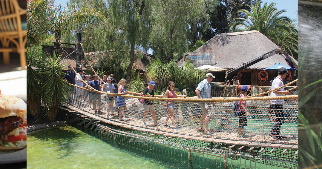 Plan your visit - Cango Wildlife Ranch