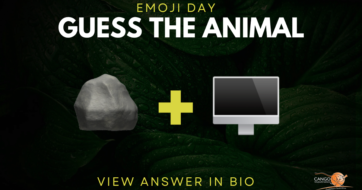 Emoji Day - Answers Revealed - Cango Wildlife Ranch