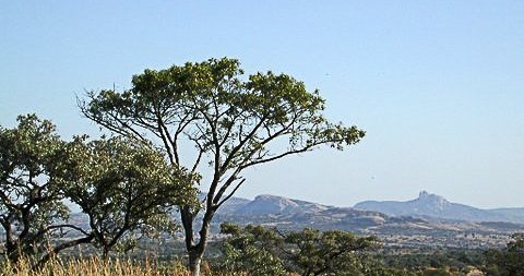 Genesis - Sakabula Safaris & Tours, at your service!