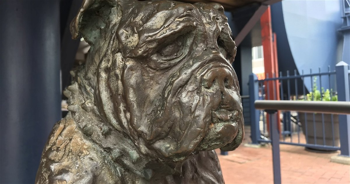 Bondi of HMS Verbena - Knysna Museums