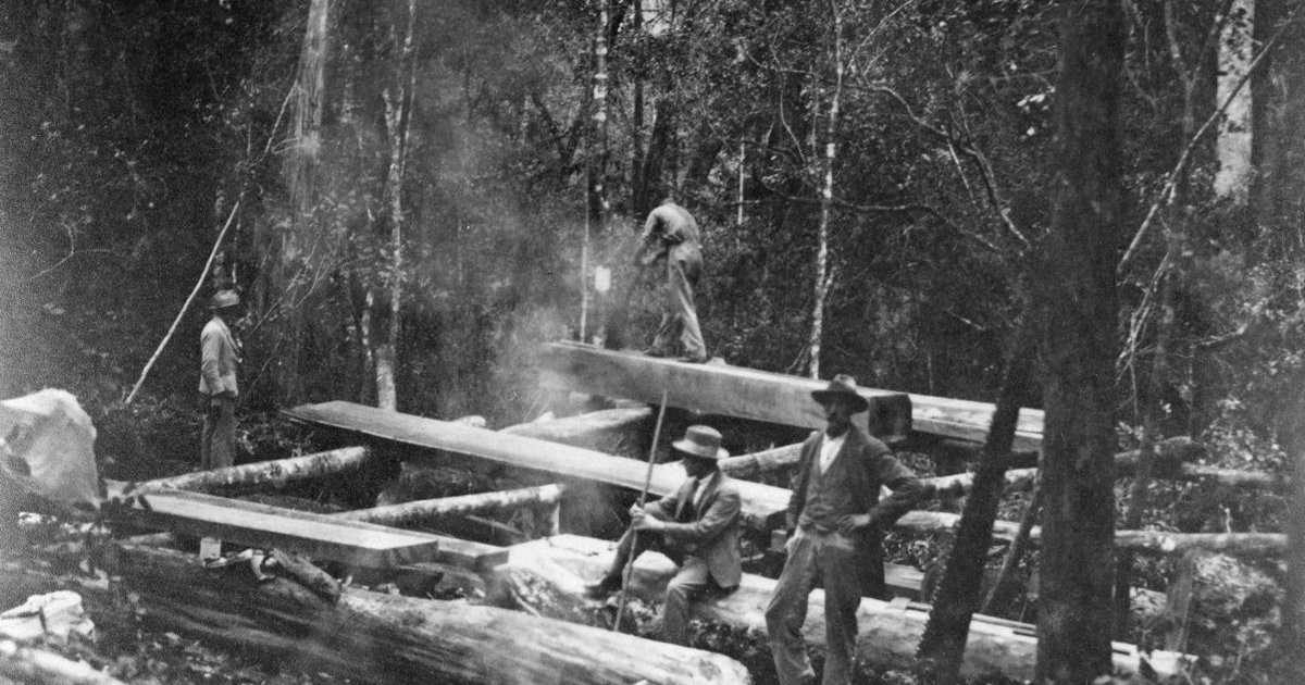 Knysna Timber Route - Knysna Museums