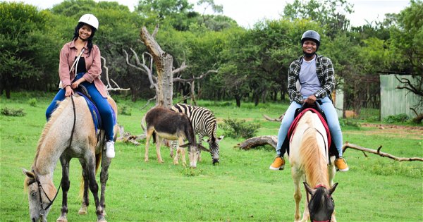 Horseback & Quad Bike Safaris in Hartbeespoort