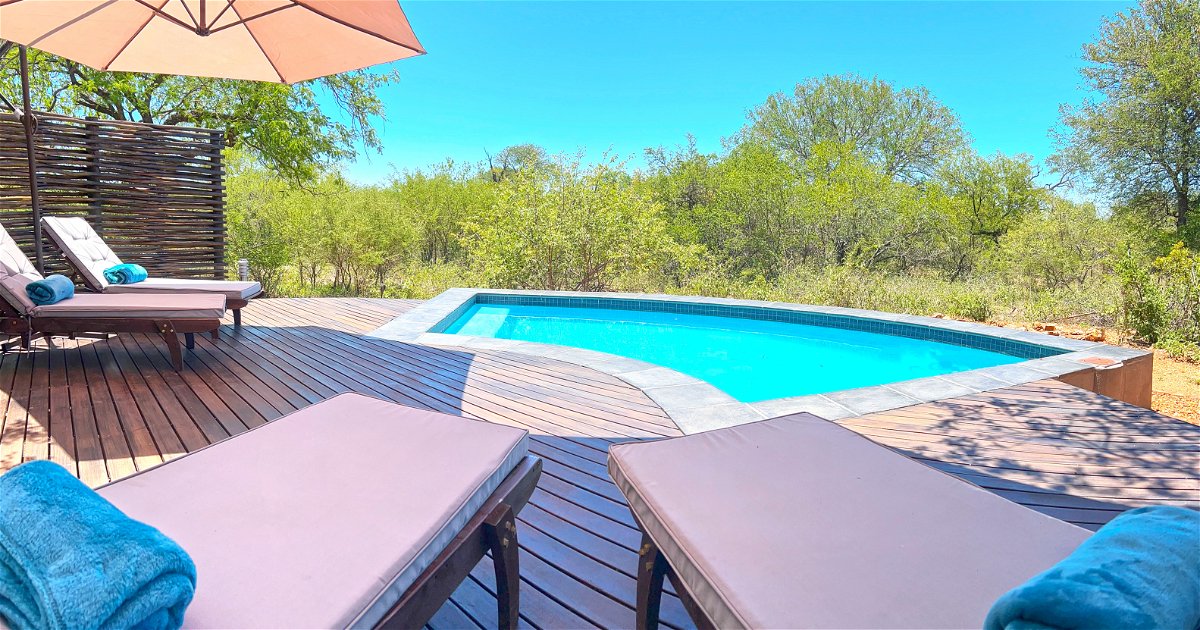 LUXURY VILLA ACCOMMODATION IN HOEDSPRUIT - Wild Dog Guest Lodge