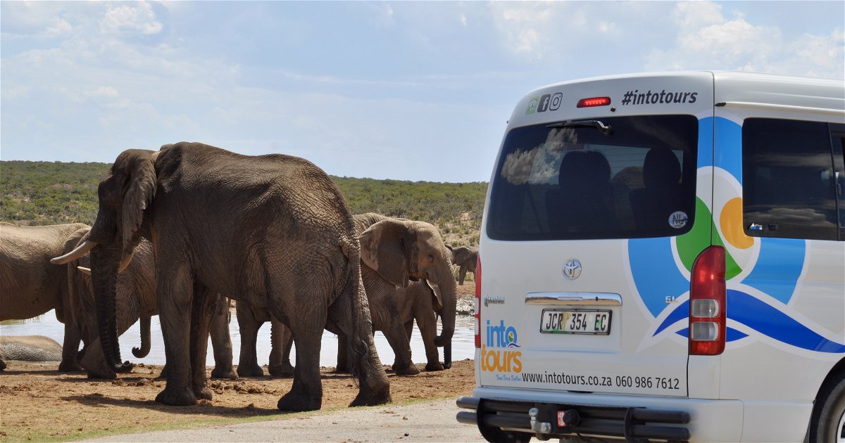Into Tours: South African Tour Operator & Safari Specialists