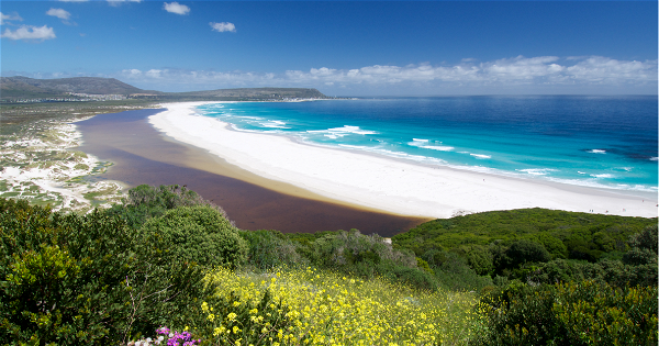 Best things to do in Noordhoek Cape Town - Into Tours