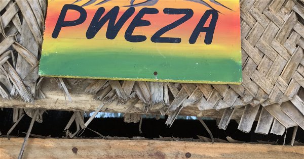 Pweza - Drifters Zanzibar