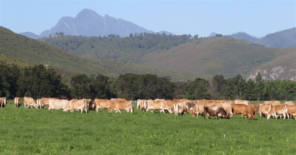 Contact us | Natures Way Farm Stay Accommmodation