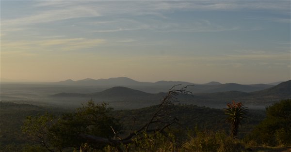 Manyoni Private Game Reserve - Buffalo Hills