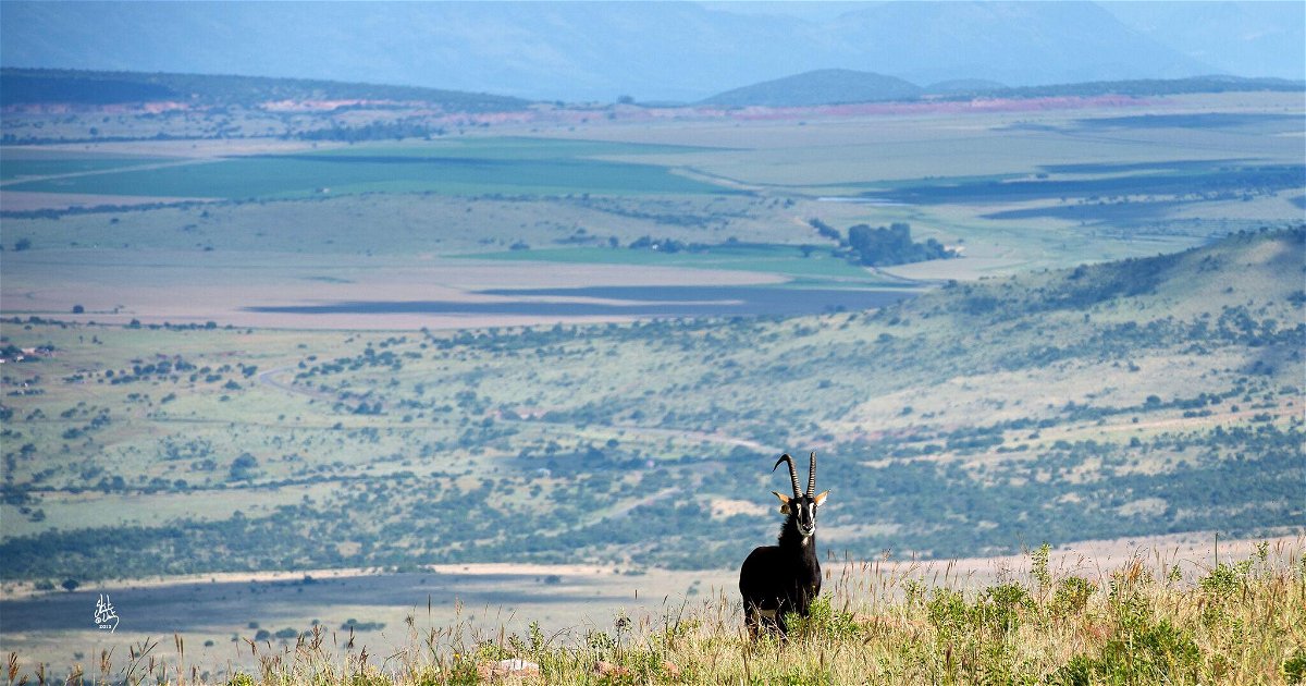 To do and See - Mount High Luxury Country House