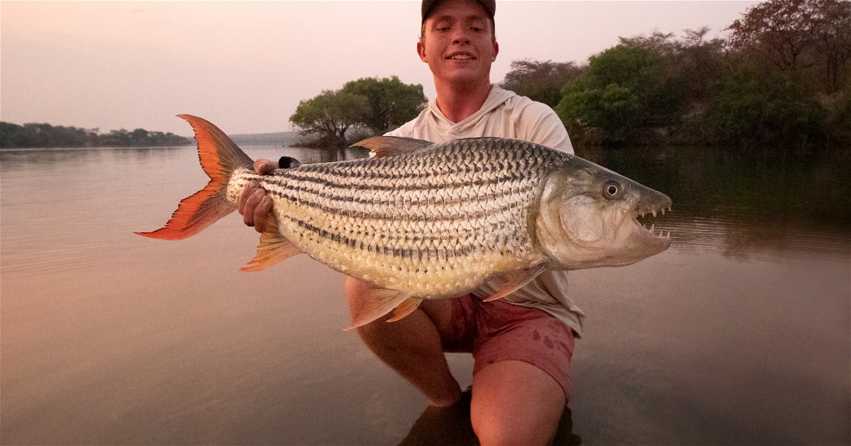 Season Information - Ngombe Zambezi River Lodge