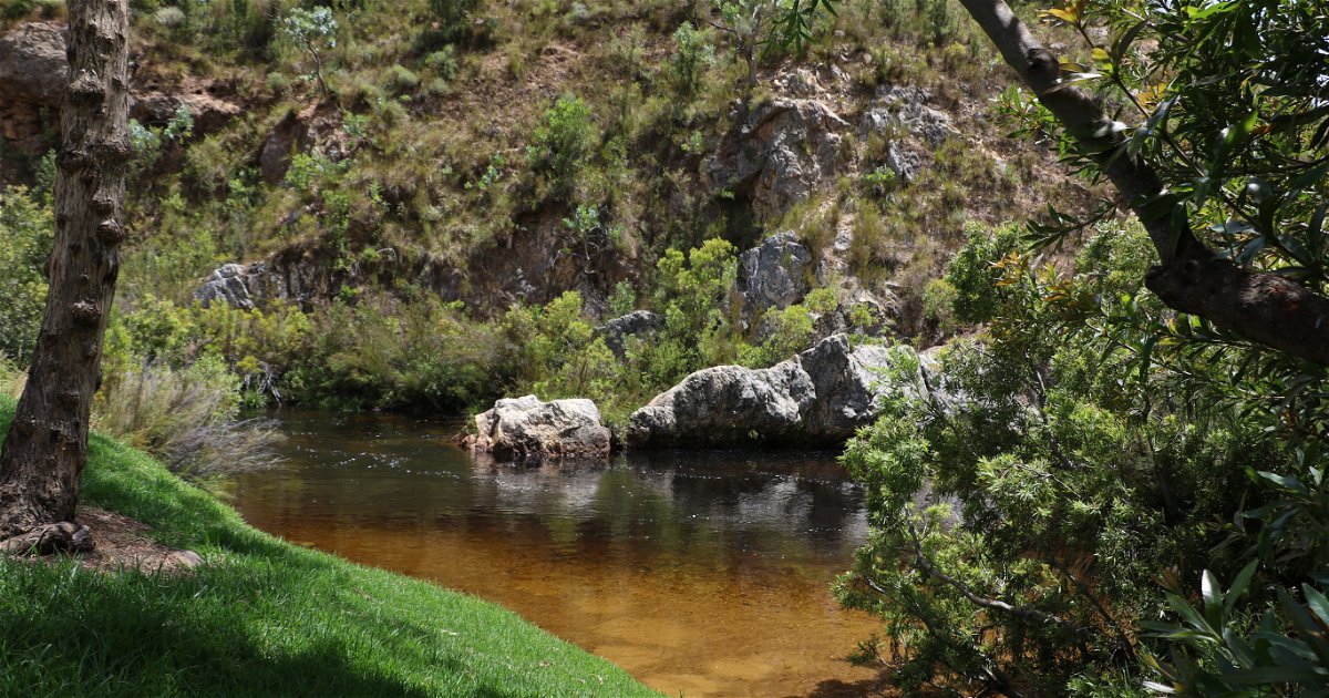 Camp Site 4 - Dwarsberg Trout Hideaway