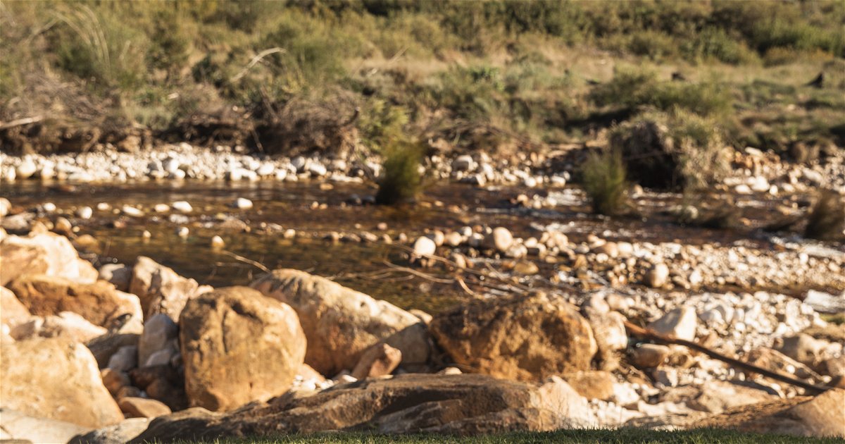 Things to do during your stay - Dwarsberg Trout Hideaway