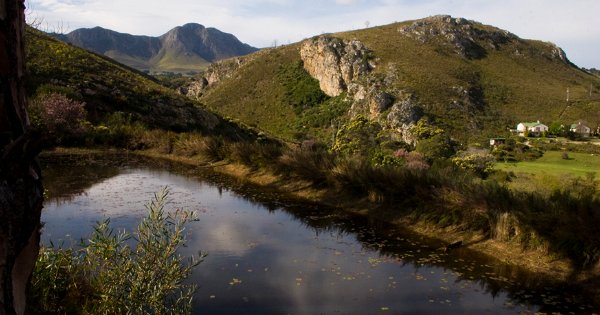 Volmoed Farm Accommodation in the Hemel-en-Aarde Valley Hermanus