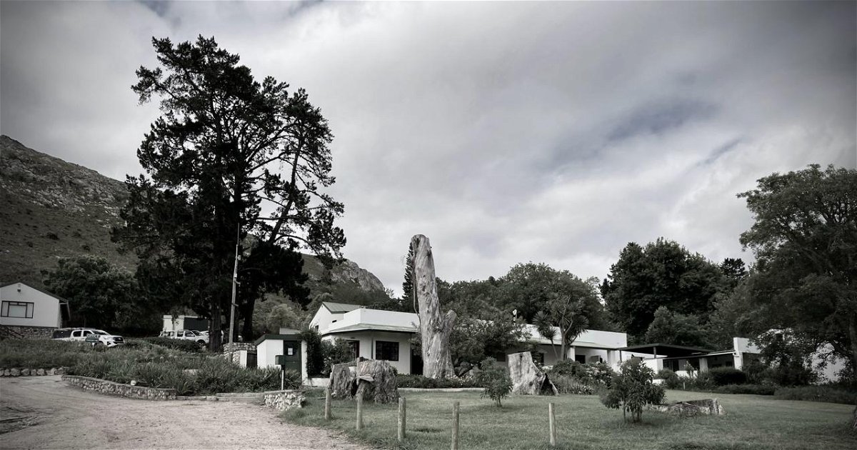 Things to Do - The Volmoed Trust