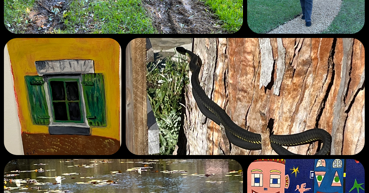 July news - The Volmoed Trust