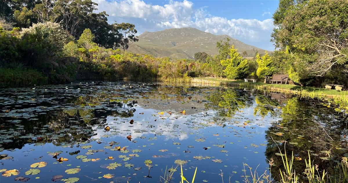 Retreat Calendar - The Volmoed Trust