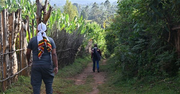 Short Community Hiking in Gurage Ethiopia - SimienEcoTours
